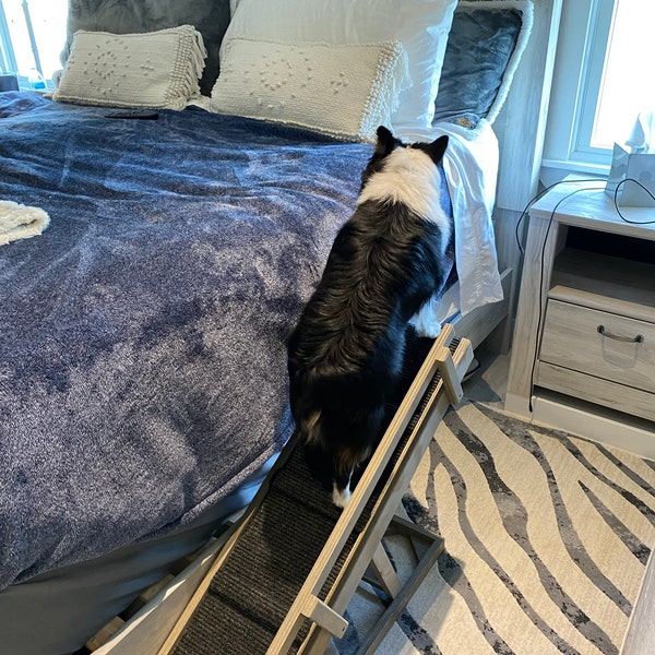 12x56 Adjustable Ramp 2 Side Rails Carpet Traction Bumps Small to ...