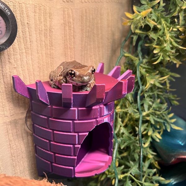 Crested Gecko and Frog Hanging Castle Tower Hide - Etsy