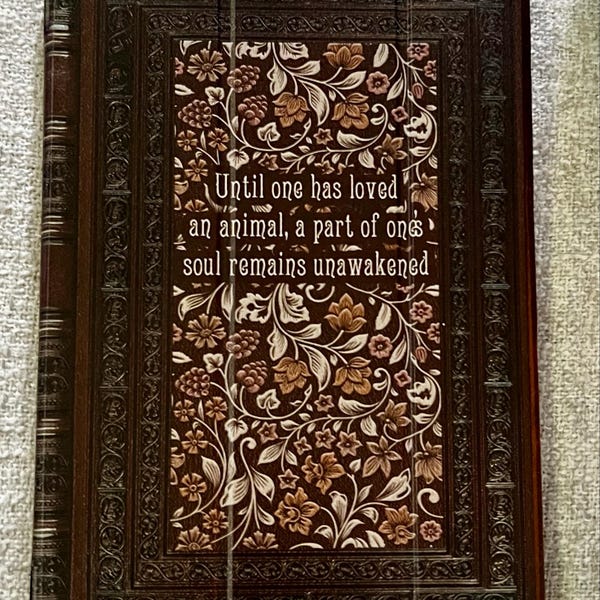 MacBook Case Bows Cute Aesthetic Coquette MacBook Pro 13 MacBook Air 13 ...