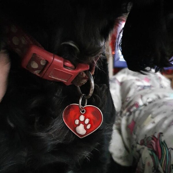 Red and Silver Heart Pet ID Dog Tag - Etsy