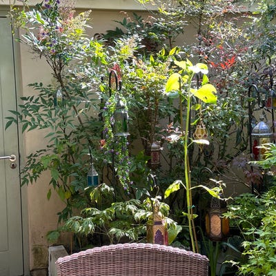 Very Long Bunting 7 Metres, Sari Bunting With Pompoms, Recycled Bunting ...