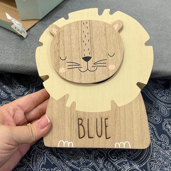 Personalised Engraved Lion Money Box Bank - Kids Savings Pocket Money ...