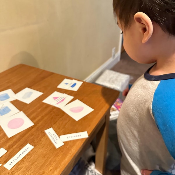 22 Ocean Animals Cards, Montessori Flash Cards, Pre-school Cards ...