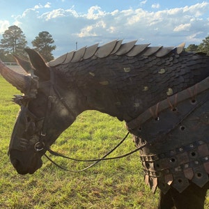 Dragon Slayer Horse Chanfron Face Armor in Silver Medieval | Etsy