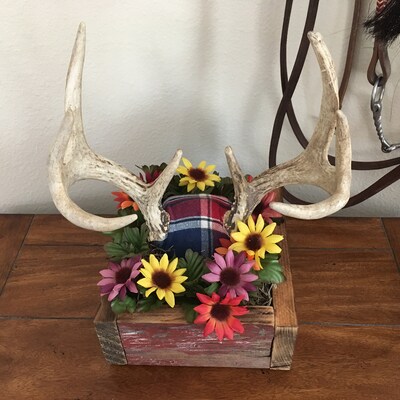 Whitetail Deer Antler Shelf on Barn Wood With No Hunting or - Etsy