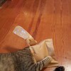 Cowboy Boot Catnip Cat Toy Western Cowboy Boot Cat Toy Organic - Etsy