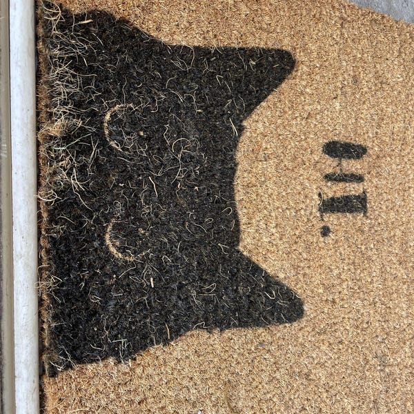 Door Mat Welcome Cat, Welcome Cat Door Mat, Cute Doormat, Cat Doormat ...