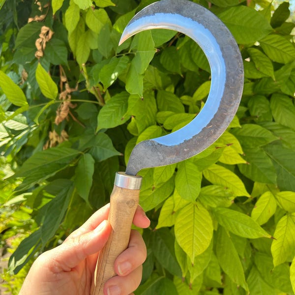 4-piece Set of Bowl Carving Tool With Leather Cases. Woodworking. Axe ...