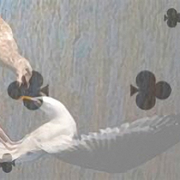 Color Correction HEX Code Color Chart Printable Designer Quick ...