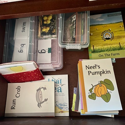 Phonogram Word Cards - Etsy