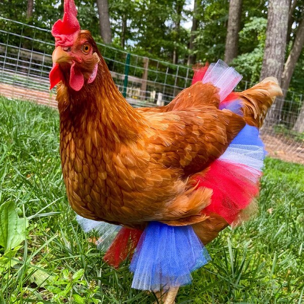 Patriotic Chicken Tutu - Etsy