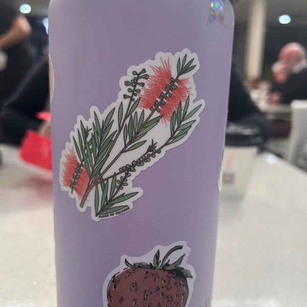 Kiwi Bird Sticker, Kiwiana Sticker, Native Birds From New Zealand, NZ ...