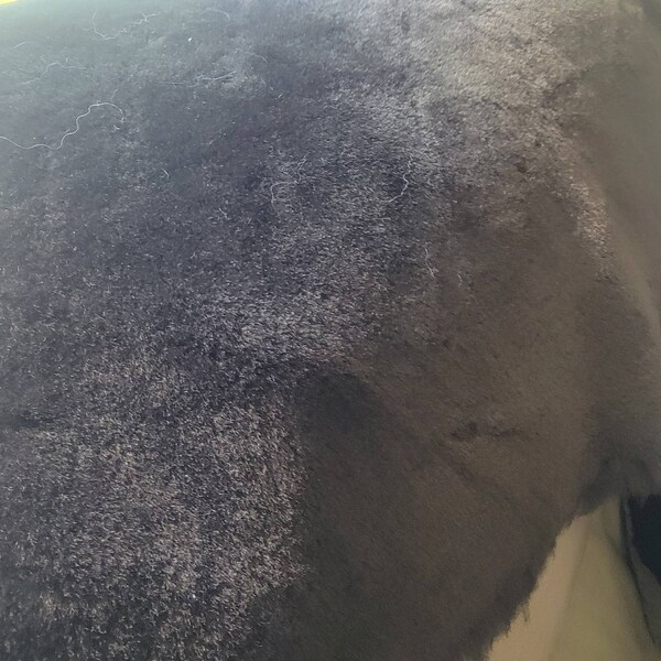 Springbok Skin Natural Springbok Skin XXL Size Tanned Springbok Hide ...