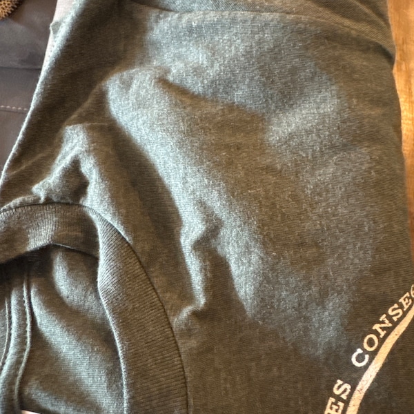 CC Memory Master Cycle 1 Shirt, Classical Conversations T-shirt ...