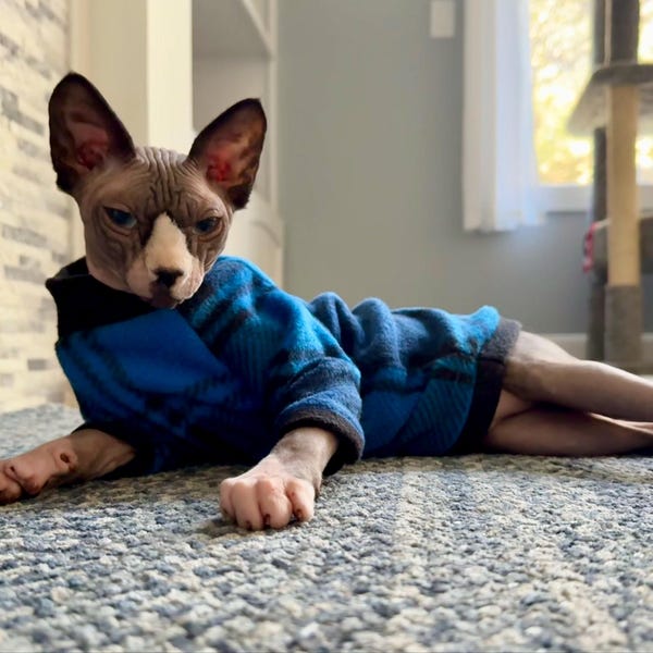 Snuggle Bed, Cat Sleep Sack, Snuggle Sack, Sleeping Bag, Pet Sleeping ...