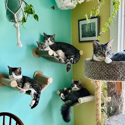 Cat Stairs / Wall-mounted Cat Steps/ Cat Furniture / Cat Scratching ...