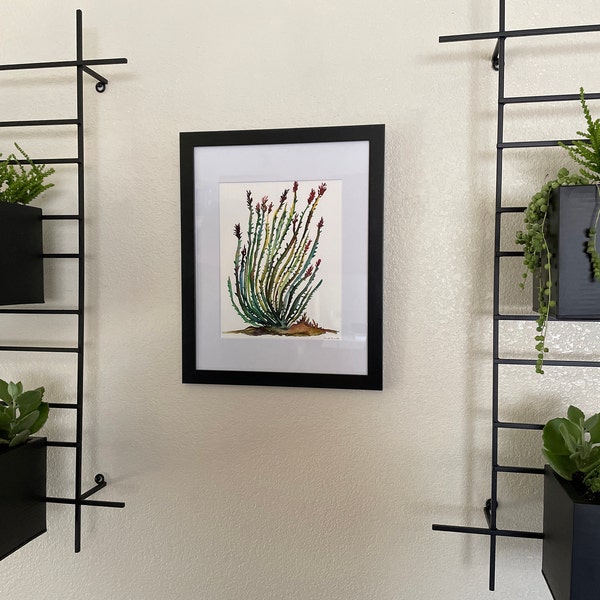 Ocotillo Cactus Watercolor Painting Print, Artwork - Etsy