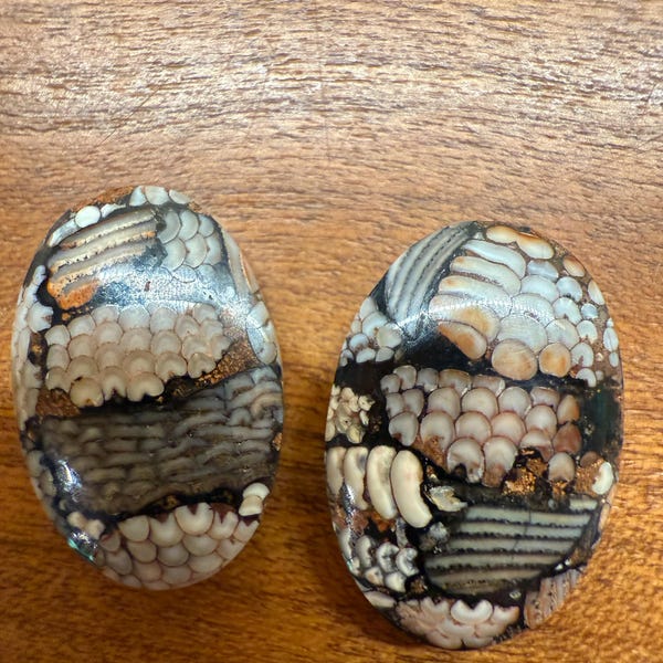 Buffalo Bone Carving Fish Cabochon Organic Jewelry Supply DIY Cord ...