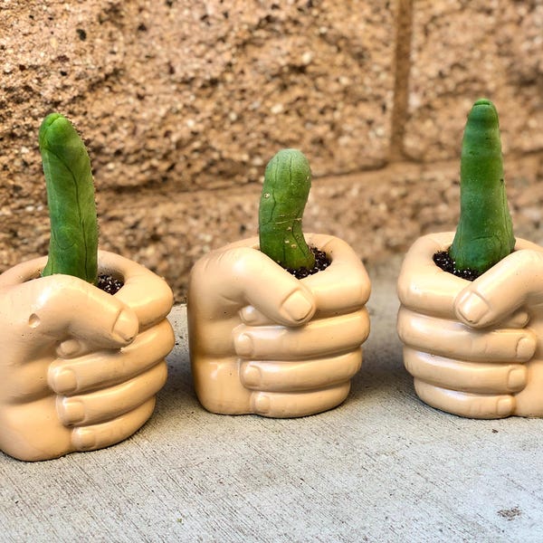 Oopsies Funny Planter | Fist Planter | Plant Pot | Hand Planter | Funny ...