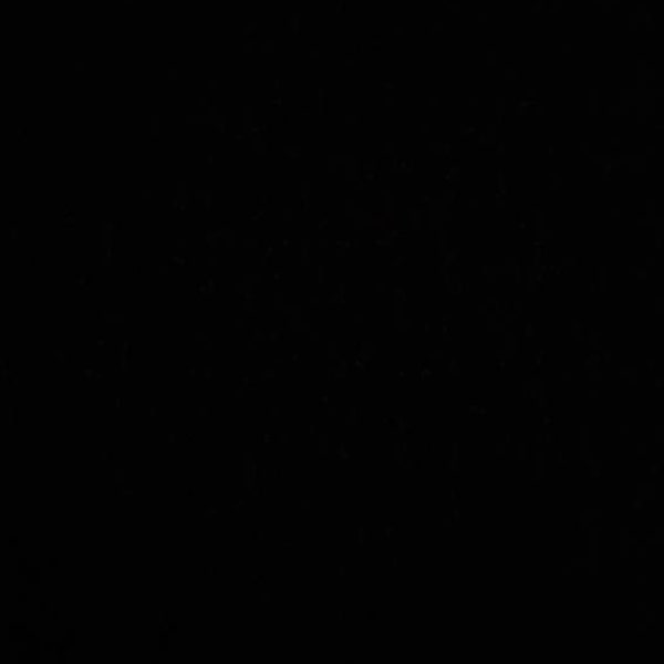 Magical Flying Keys! Christmas Tree Winged Keys, Magic Party Decor ...