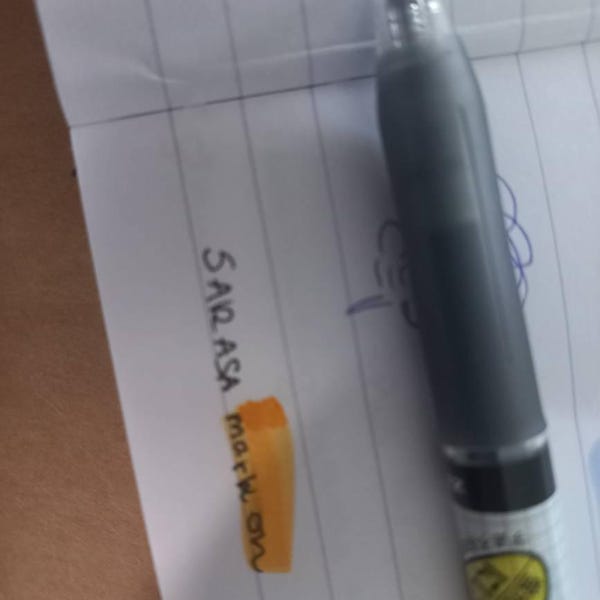 Standing Turtle-shaped Sticky Notes, 74x57mm, 30 Sheets, Perfect for ...