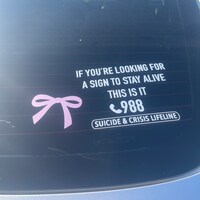 Passenger Princess Car Mirror Decal, Pink Car Mirror Sticker, Rear View ...