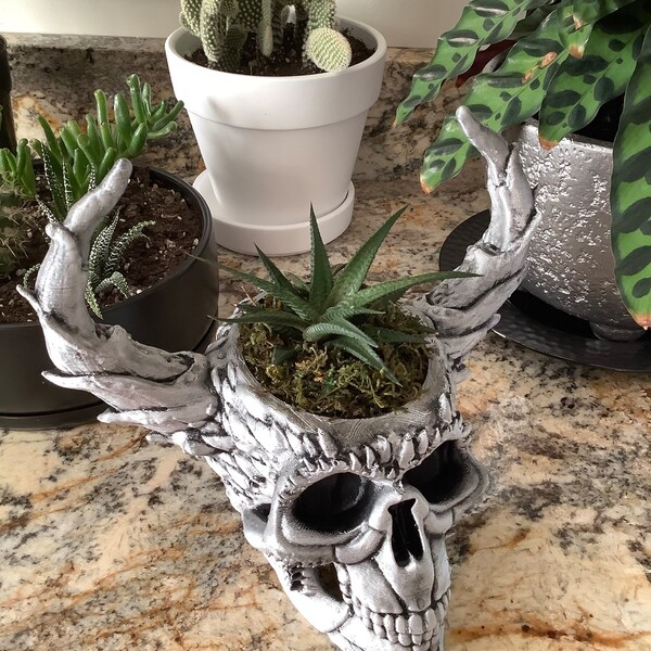 Demon Skull Planter With Horns, 3D Printed, Eco Friendly, Home and ...