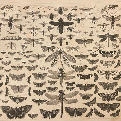 CHINA Old Map of China Original 1902 Antique French Print About Chinese ...