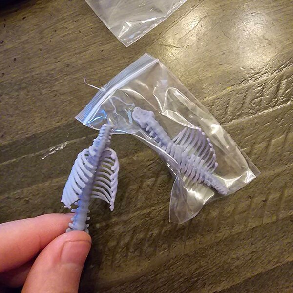 Human Ribs With Spine - 1:12 Scale Miniature Size for Horror Diorama ...