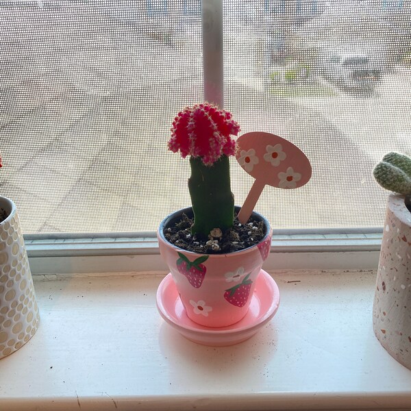 Spongebob Pineapple House Hand-painted Terracotta Pot|indoor Planter ...