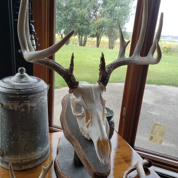 Barnwood European Table Mount - Etsy