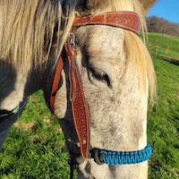 Indian Bosal Bitless Hackamore Attachment Neon Lime - Etsy Canada