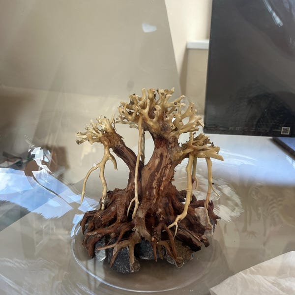 Aquarium Driftwood Centerpiece Aquascape Hardscape Arch Fish Tank ...