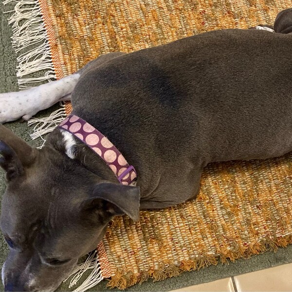 Western Bluebird, a Rag Rug, Handwoven, Hand Dyed and Made Especially ...