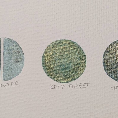 Handmade Chameleon Watercolor Paint sea Sparkle Chameleon Shimmer ...