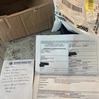 2 Lb ,fresh Green Plum , Greengage ,generik,janerik,seasonal Fruit ...