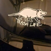 Ball Python Decal Spiral Snake Sticker Snake Decal Serpent - Etsy