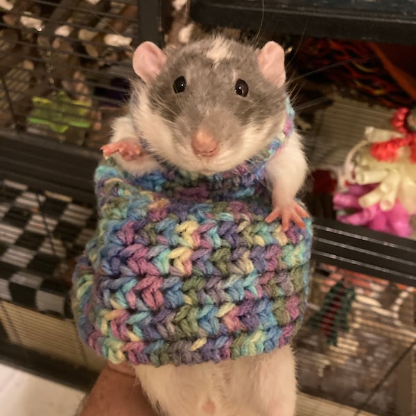 Crocheted Rat Sweater | Rat Sweater | Rat Clothing - Etsy