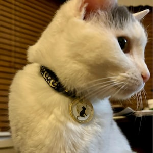 3/4 Star of David Pet ID Tag for Small Dogs or Cats - Etsy