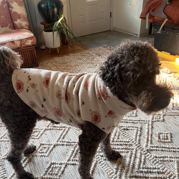 Dog Fleece Polo PDF Sewing Pattern Sizes XXS to 3XL (8 Sizes) Instant ...