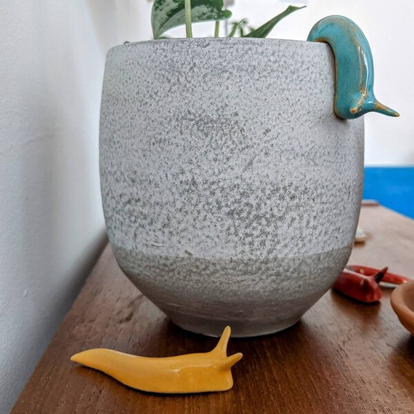 Ceramic Slugs - Assorted Pack of X3 - Etsy