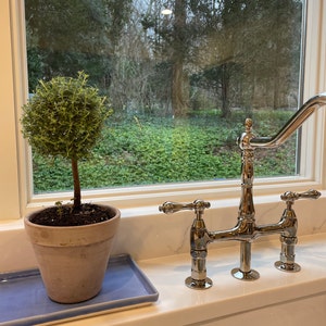 Variegated Scented Geranium Topiary 6 Pot Braids and Twists - Etsy