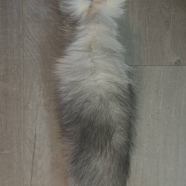Eco Friendly Blue Fox Tails - Etsy