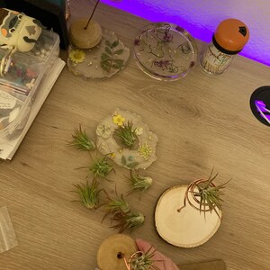 11 Wood Cake Stand Log Cake Stand Tree Bark Cake - Etsy