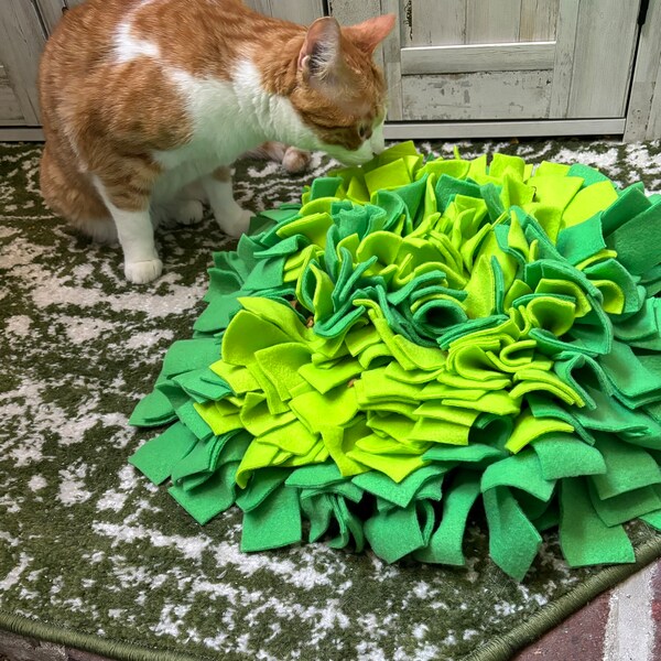 Nose-n-nibble Premium Snuffle Mat: Food Foraging Fun for Dogs, Cats ...