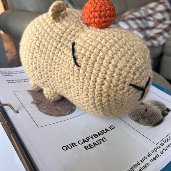 Capybara CROCHET PATTERN 3 in 1, Amigurumi Capybee, Crochet Bee ...