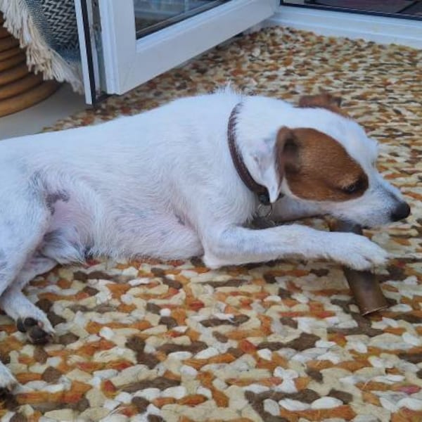 Camel Skin-natural Dog Treats- / Dog Birthday Gift/ Dried Dog Treats ...