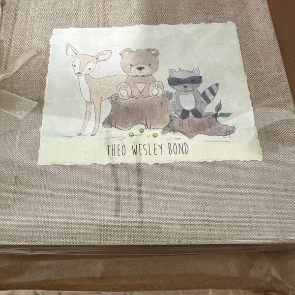 School Years School Memory Book, School Album, Pre-k Through 12th Grade ...