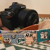 Handmade Sturdy Cute Cat Camera Strap Camera Shoulder Straps Hand ...