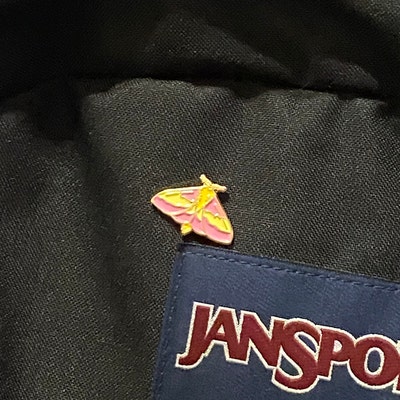 ONE Large Monarch Butterfly Migration Stickers Wall Art Decor for ...